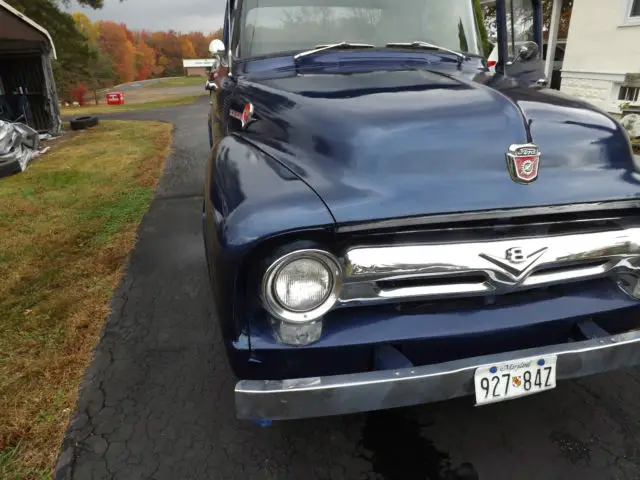 11956 FORD F100 for sale