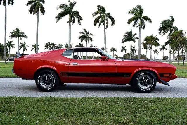 1973 Mustang fastback for sale