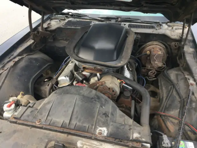 1979 Pontiac 400 Trans Am for sale